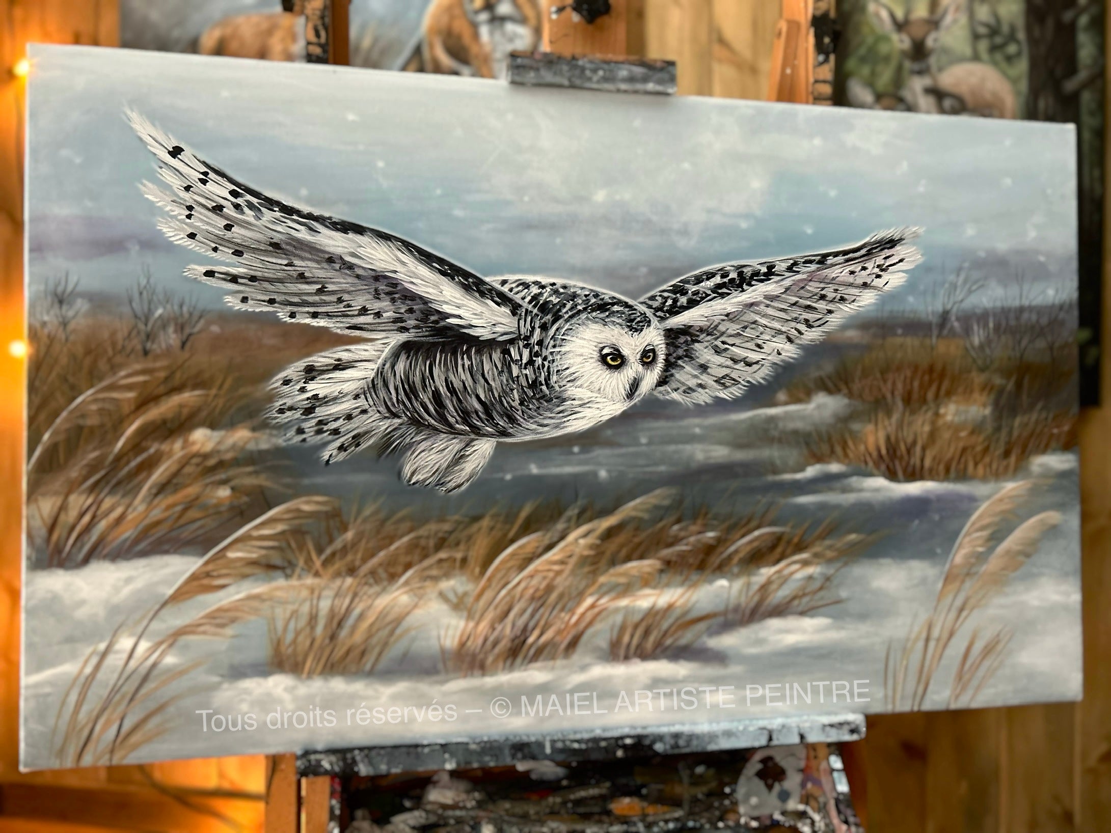 Maiel artiste peintre