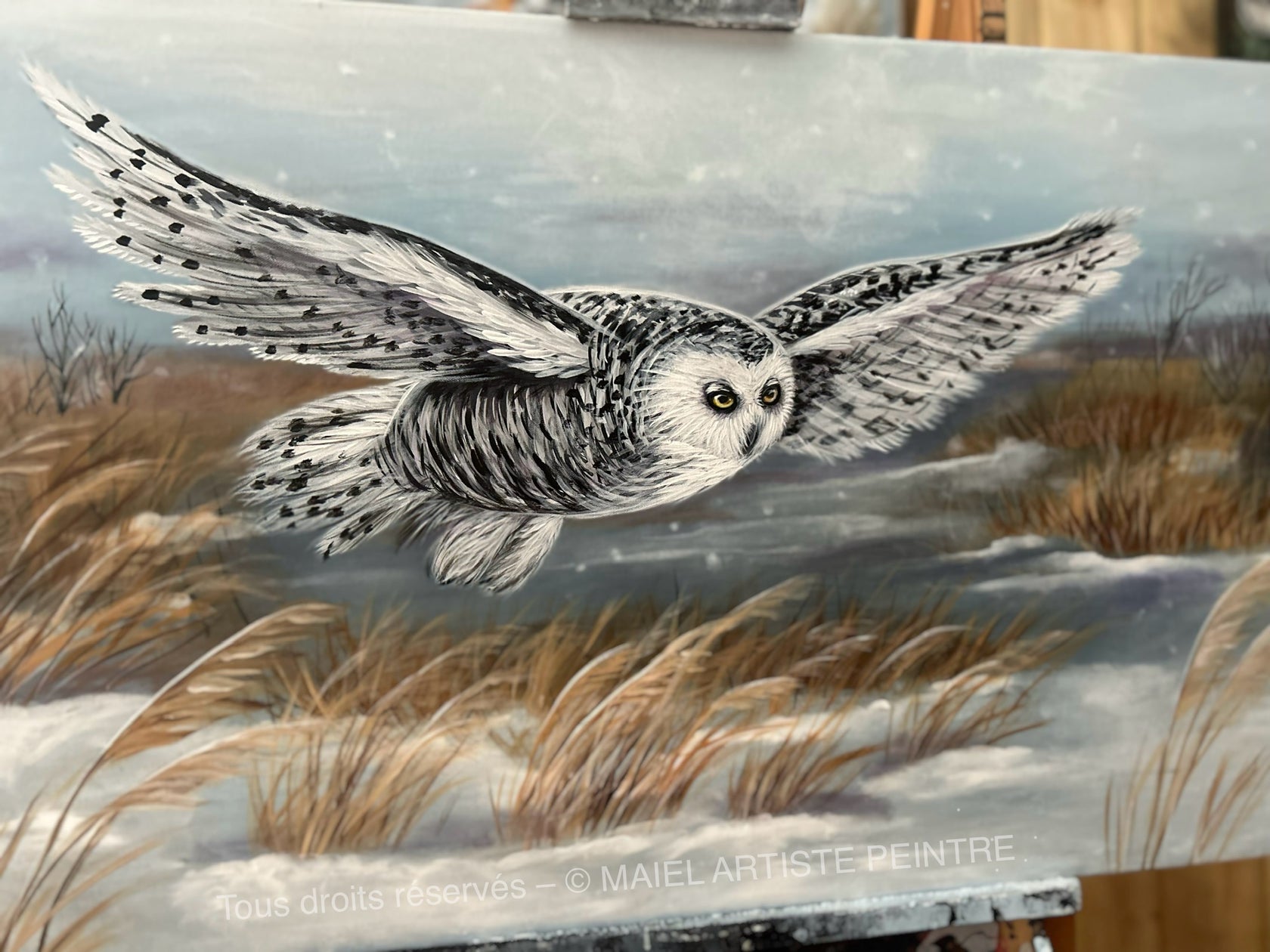 Maiel artiste peintre